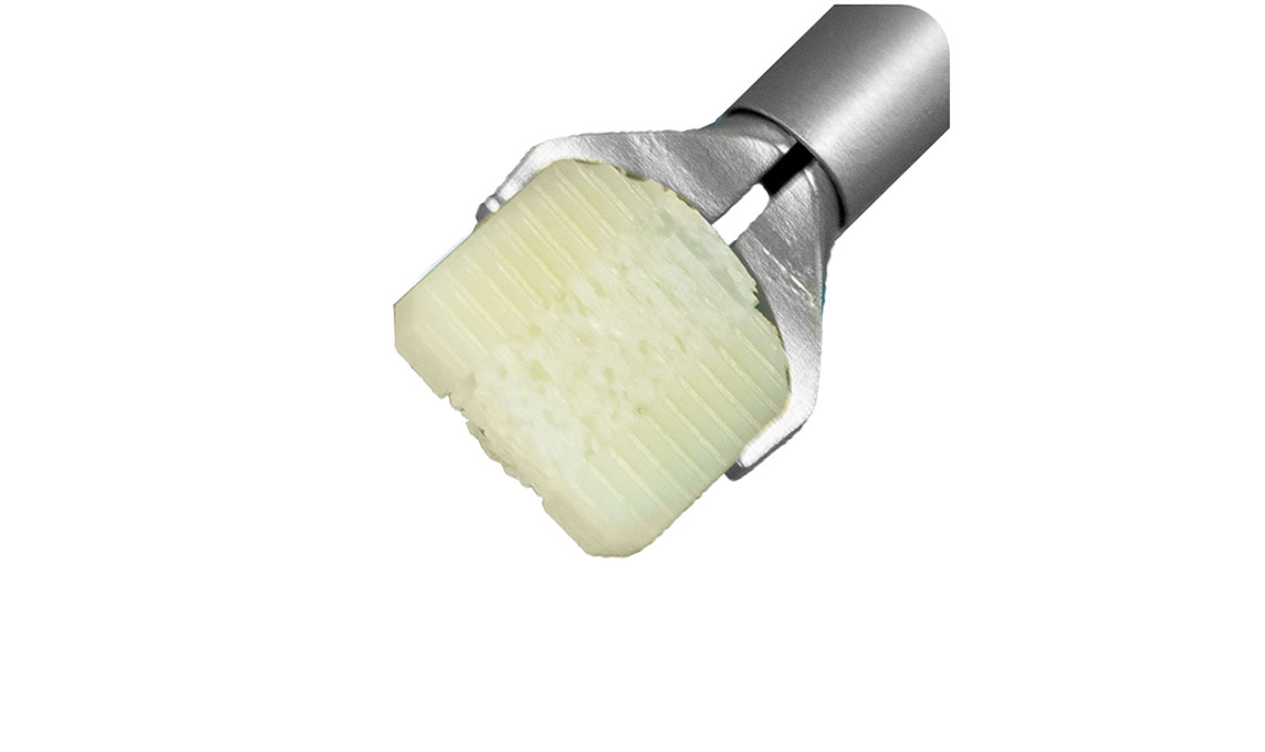 Transforaminal Lumbar Interbody Fusion (TLIF) Solutions